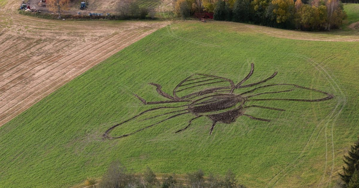 Landart 2023 – samtidskunstfestival | Bergesenstiftelsen